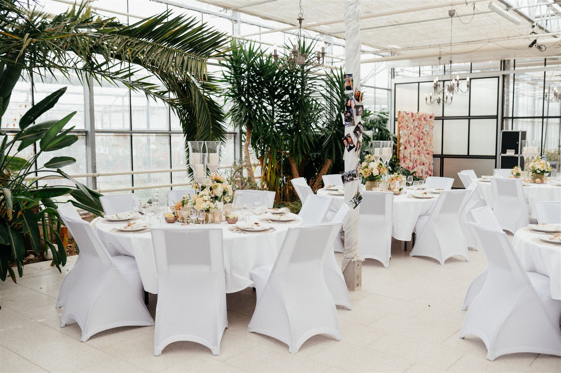 Haus der Rosen | mavent